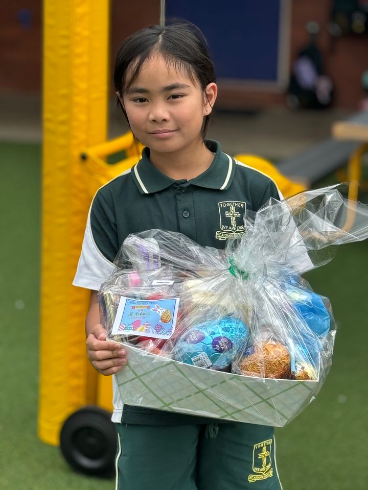 St Nicholas Netball Gala Day | St Aidans primary Rooty Hill